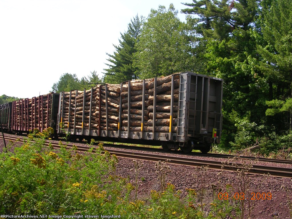 Loads Of Pulpwood At MP Q68